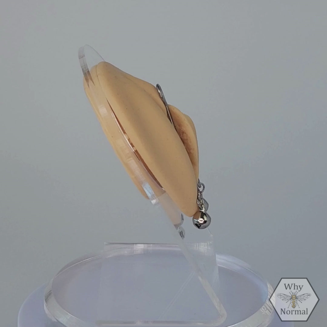 Labia Clip with Bells, Stainless Steel. Non Piercing Vaginal Jewelry ...